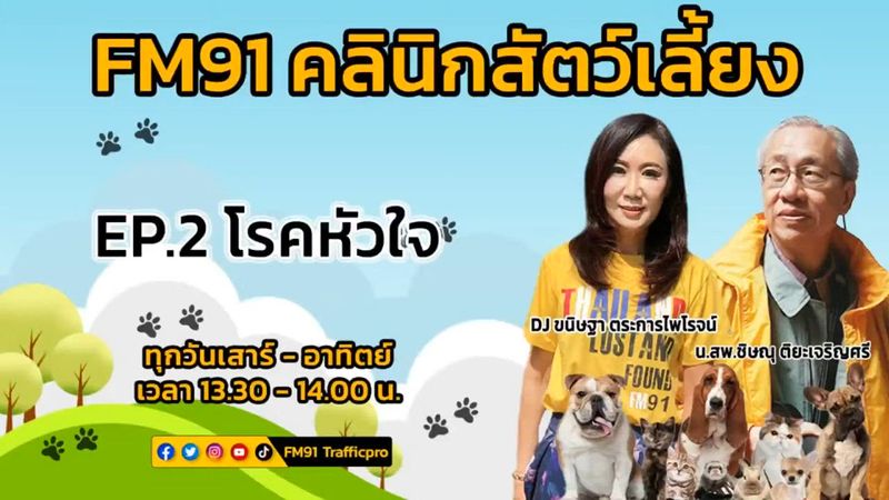 [FM91 Trafficpro] โรคหัวใจ EP.2 : FM91 คลินิกสัตว์เลี้ยง สัมภาษณ์ นายสัตวแพทย์ชิษณุ ติยะเจริญศรี ...