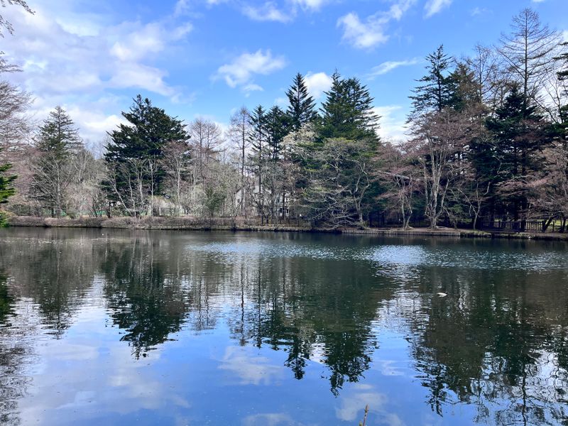 [Whatever to share- YV] Reflection through my eyes