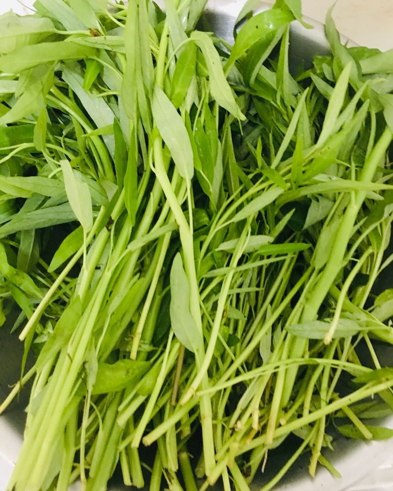 [เรื่องราวเล่าเรื่อง] ผักบุ้ง water spinach เช้านี้ฉันจัดการเคลียร์แปลง ...