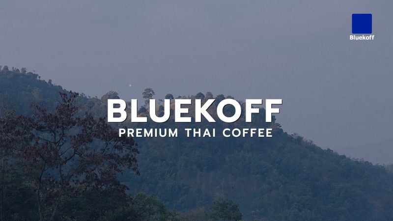 [Bluekoff] 𝗕𝗹𝘂𝗲𝗸𝗼𝗳𝗳 𝗣𝗿𝗲𝗺𝗶𝘂𝗺 𝗧𝗵𝗮𝗶 𝗖𝗼𝗳𝗳𝗲𝗲 : Coffee Processing กว่าจะมา ...