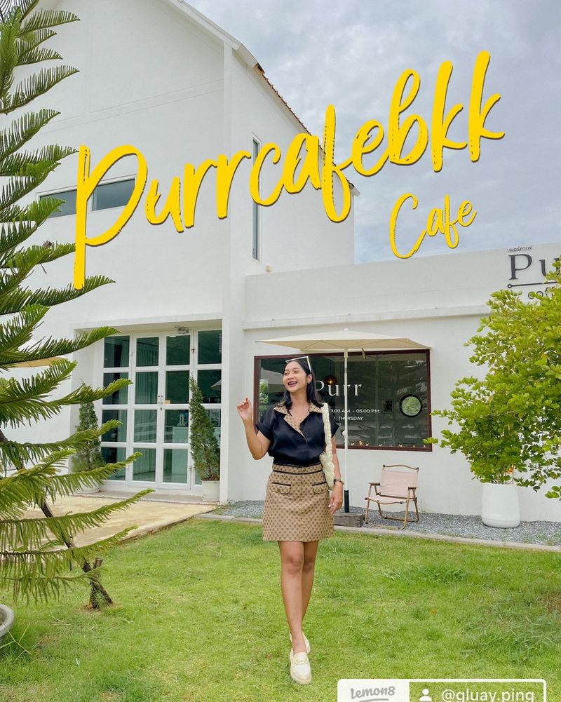 [GLUAY.PING] Purrcafebkk คาเฟ่เปิดใหม่ ฟีลเหมือนอยู่เขาใหญ่ แต่ที่จริงๆ ...
