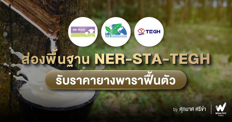 [Wealthy Thai] ส่องพื้นฐาน NER-STA-TEGH รับราคายางพาราฟื้นตัว หุ้นกลุ่มยางพาราได้รับความสนใจและ ...