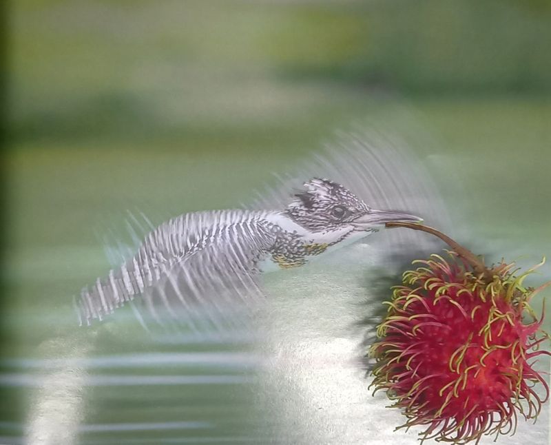 [ภูบดินทร์ ภูมูล] 😃😁