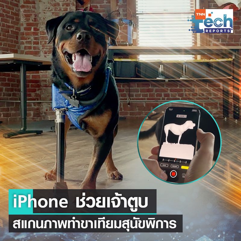 [TNN ONLINE] iPhone 14 Pro สแกนสุนัขพิการ ช่วยออกแบบขาใหม่ให้เจ้าตูบ | TNN Tech Reports ปัจจุบัน ...
