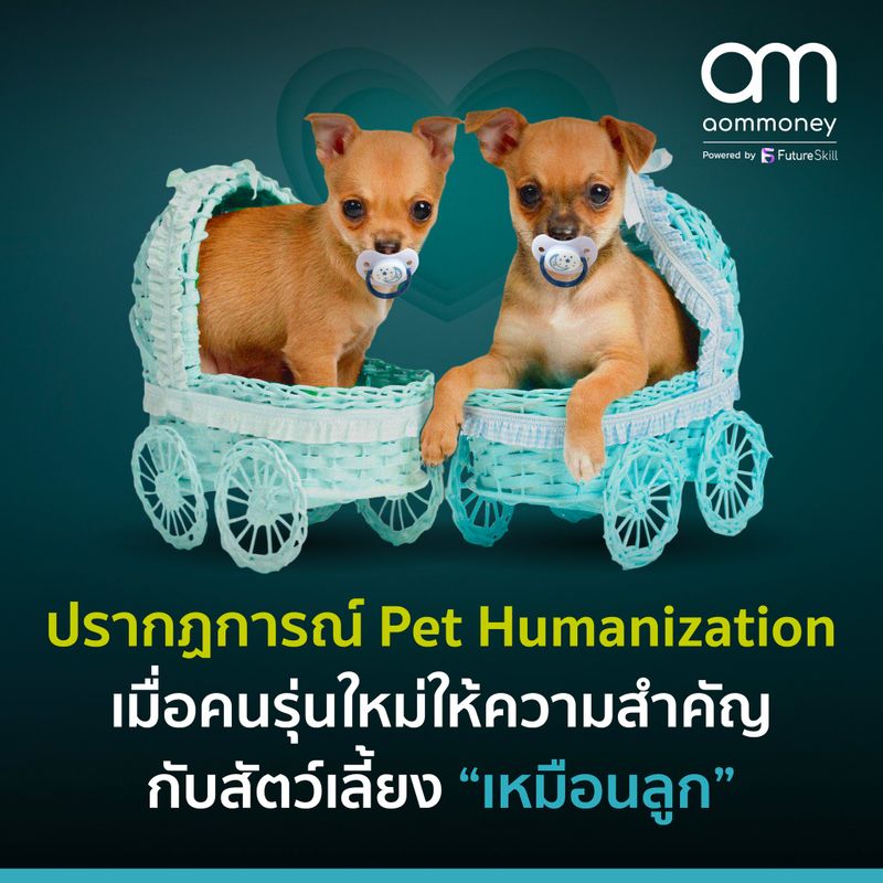 [aomMONEY] ปรากฏการณ์ Pet Humanization เมื่อคนรุ่นใหม่ให้ความสำคัญกับสัตว์เลี้ยง “เหมือนลูก”