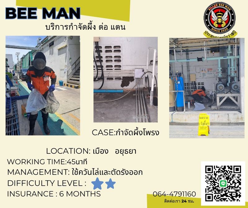 [รับกำจัดต่อ กำจัดผึ้ง แตนราคามิตรภาพ โทร0644791160] #กำจัดรังผึ้งโพรง ...