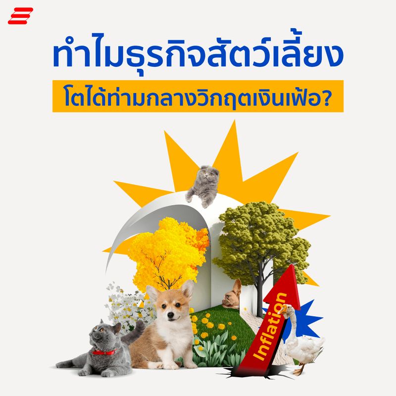 [THE TEPCO] สัตว์เลี้ยง ธุรกิจที่โตได้ท่ามกลางวิกฤตเงินเฟ้อ ธุรกิจสัตว์ ...