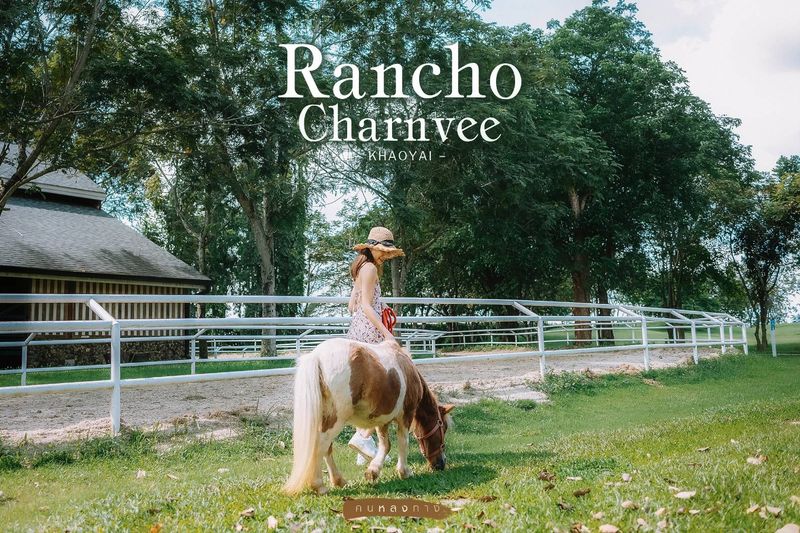 [ค น ห ล ง ท า ง] 𝐑𝐚𝐧𝐜𝐡𝐨 𝐂𝐡𝐚𝐫𝐧𝐯𝐞𝐞 𝐊𝐡𝐚𝐨𝐲𝐚𝐢 ทริปเขาใหญ่สุดชิลล์ ในที่พักสไตล์ยุโรป... พิกัด >> ต. ...