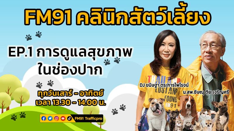 [FM91 Trafficpro] การดูแลสุขภาพช่องปาก EP.1 : FM91 คลินิกสัตว์เลี้ยง สัมภาษณ์ นายสัตวแพทย์ชิษณุ ...