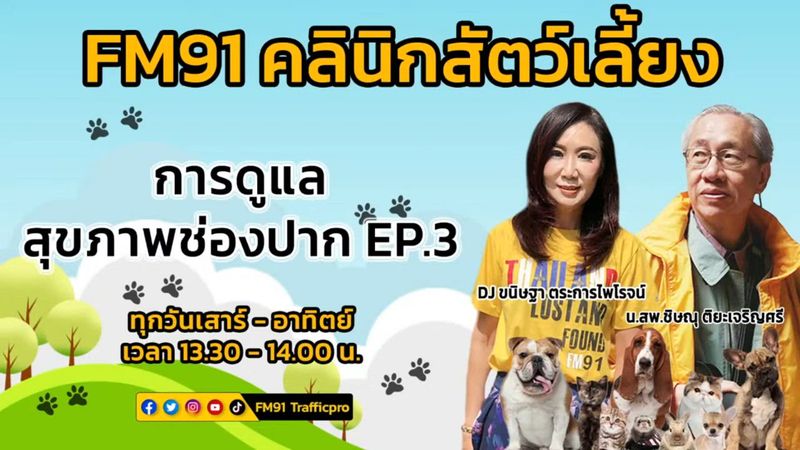 [FM91 Trafficpro] การดูแลสุขภาพช่องปาก EP.3 : FM91 คลินิกสัตว์เลี้ยง สัมภาษณ์ นายสัตวแพทย์ชิษณุ ...