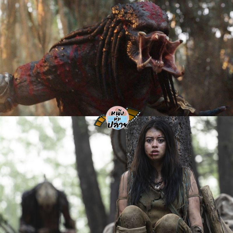 [หนัง Man & หนังหุ้มปลาย] World of Reel มีรายงานว่า ภาคต่อของ "Prey" เริ่มเข้าสู่กระบวนการพัฒนา ...