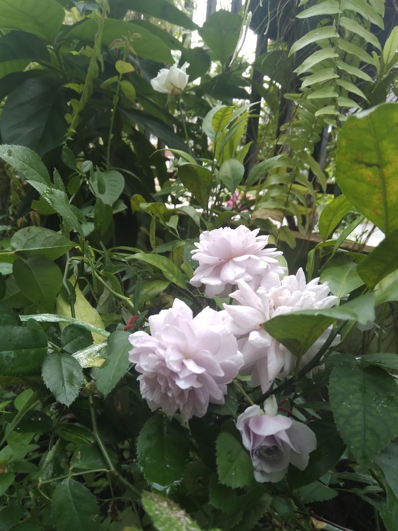 [Everythinghobby] “ วันนี้สิ่งสำคัญจึงมิใช่คำถามว่าเราได้อะไรมาบ้าง … แต่ได้แก่คำถามว่าเรา ...