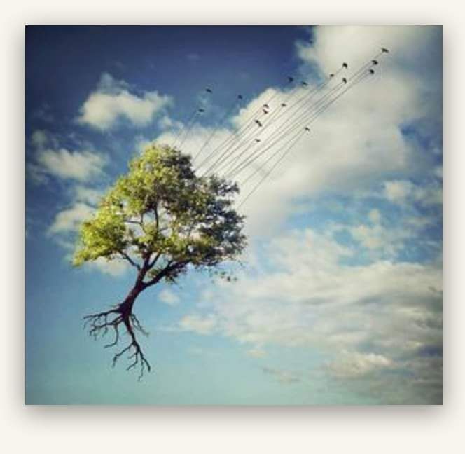 [เบื่อเมือง] "ฤทธิ์ยิว" ตอน 7