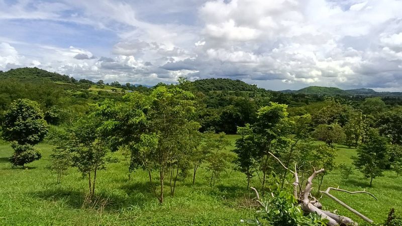 [Anandee Sunthonpaisarn] สวัสดีครับ อยากจะให้ช่วยนำเสนอเรื่องเกี่ยวกับ ...