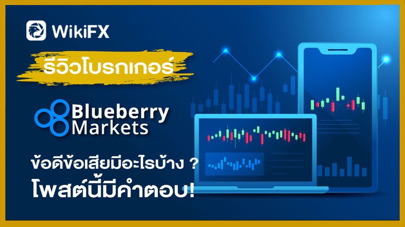 [WikiFX.TH] รีวิวโบรกเกอร์ Blueberry Markets ข้อดีข้อเสียมีอะไรบ้าง ? โพสต์นี้มีคำตอบ ! https ...