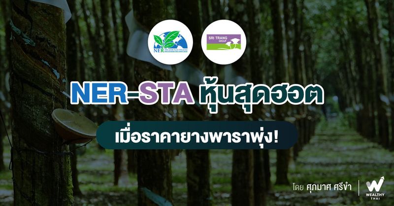 [Wealthy Thai] NER-STA หุ้นสุดฮอต เมื่อราคายางพาราพุ่ง! ราคายางแท่งในตลาดโลกยังปรับตัวเพิ่มขึ้น ...