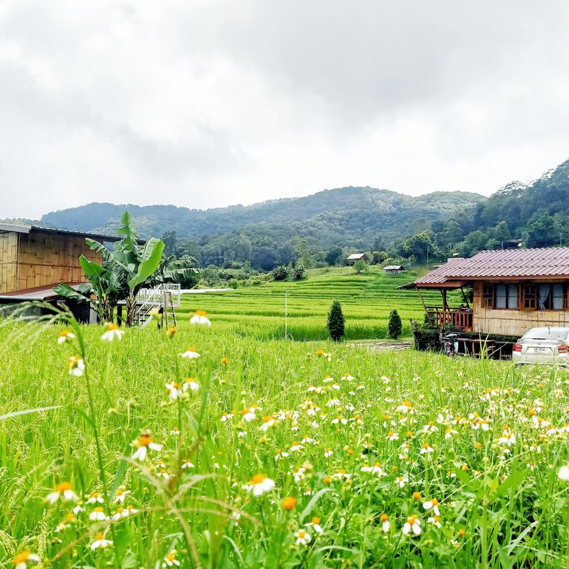 [Salinee.sae] 7 ข้อดีของการท่องเที่ยวบ้าง 1.ได้เห็นวัฒนธรรมที่หลากหลาย ความแตกต่างของผู้คนแต่ละ ...