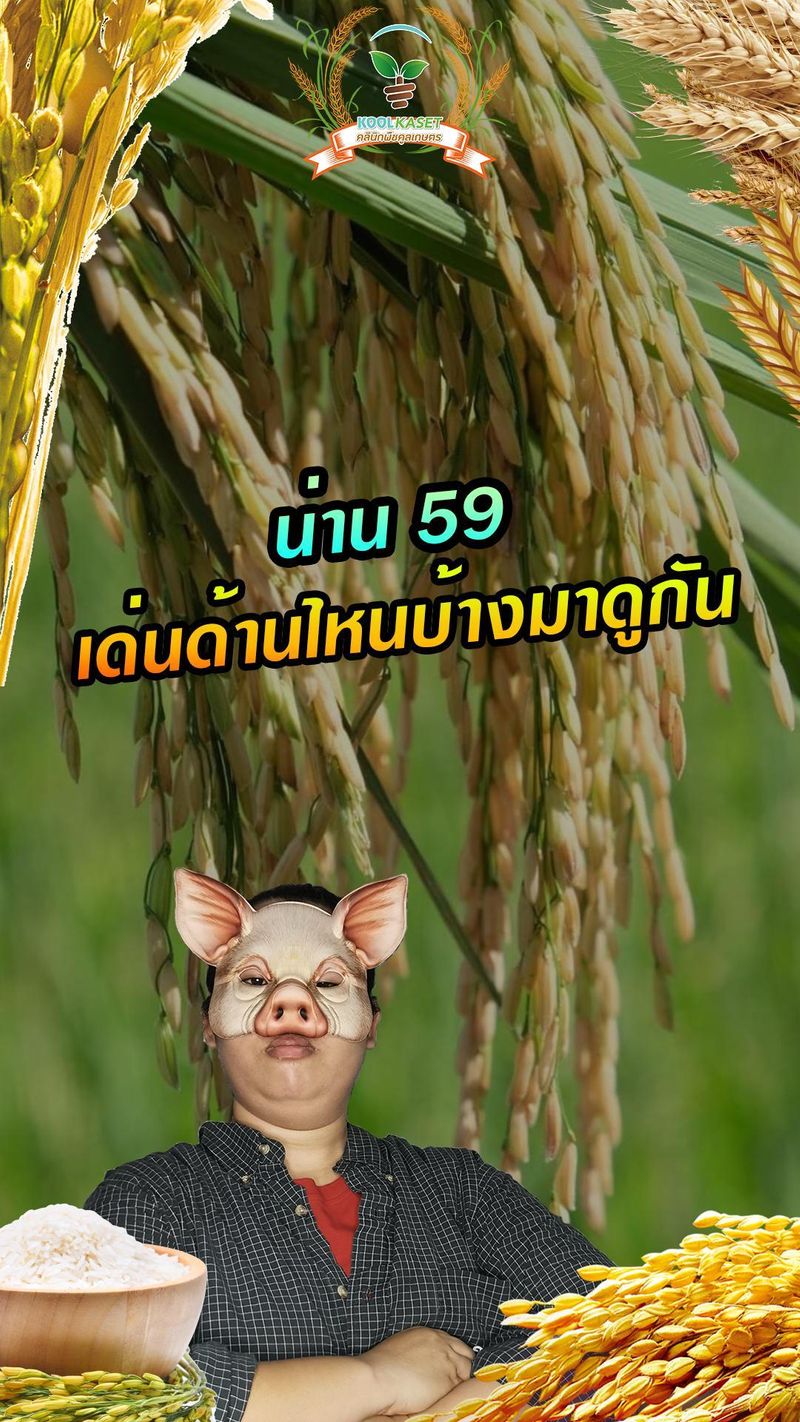 [คลินิกพืชคูลเกษตร Koolkaset Agri-clinic] น่าน 59 EP.93 l เจ๊หมู คูล ...
