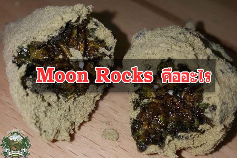 [บ้านหนองทองจันทร์ฟาร์ม] Moon Rocks คืออะไร 🌜 🌝Moon Rocks ถ้าแปลเป็น ...