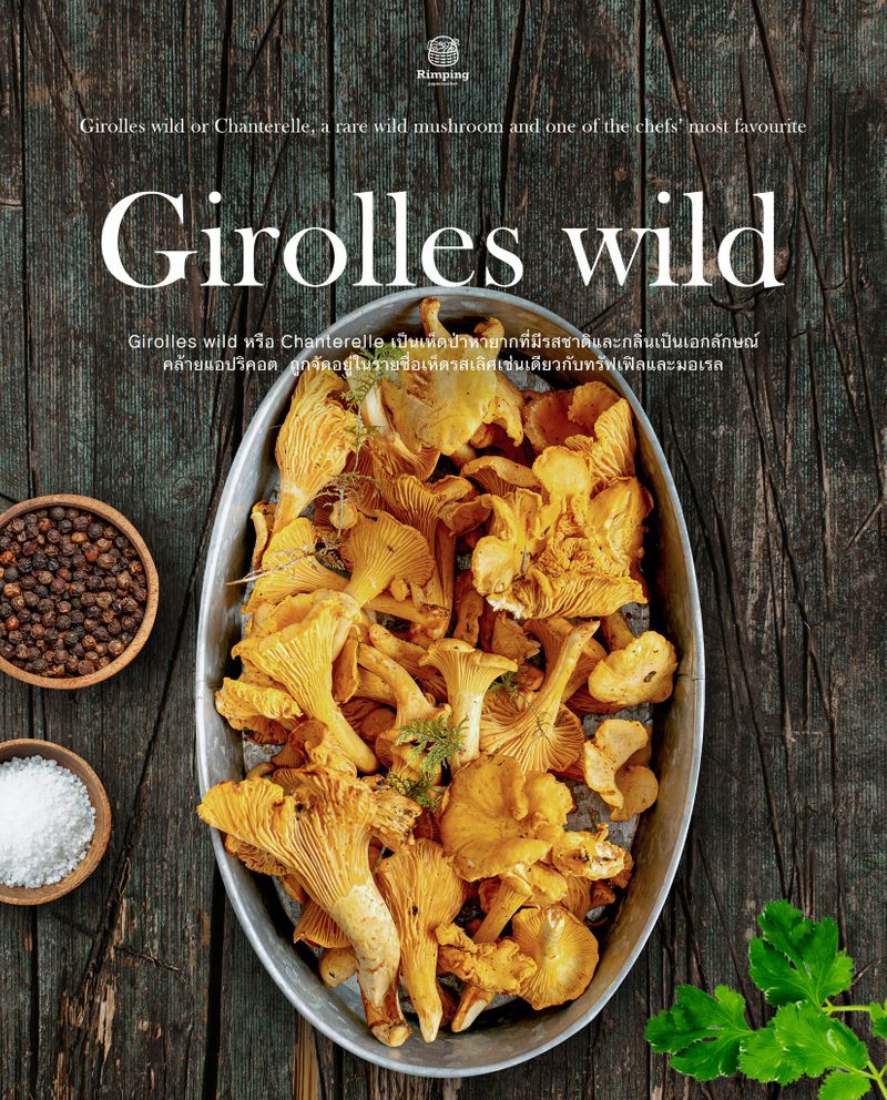 [Rimping Supermarket] ทำความรู้จัก Girolles wild เห็ดป่าหายากและราคาแพง ...