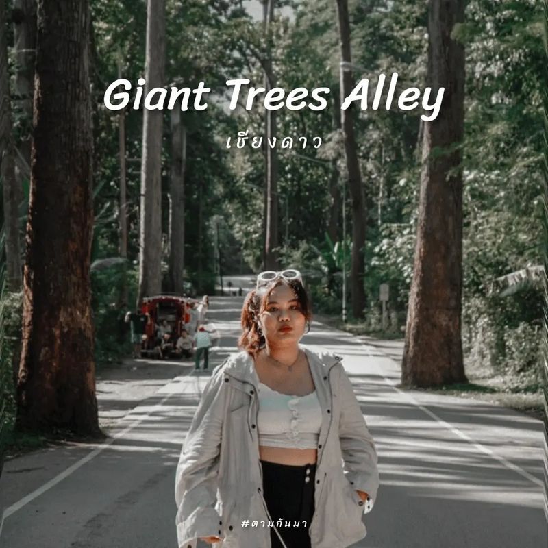 [ต า ม กั น ม า] พาไปเดินเล่นถนนที่หมายเลข 3024 อ.เชียงดาว จ.เชียงใหม่ ...