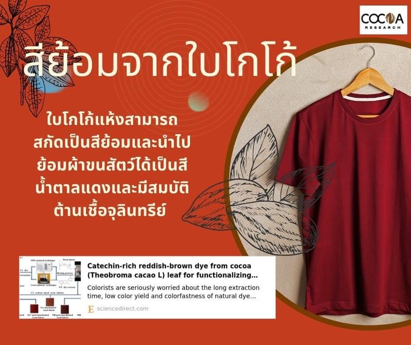 [Cocoa Research] ใบโกโก้แห้งสามารถสกัดเป็นสีย้อมและนำไปย้อมผ้าได้เป็นสี ...