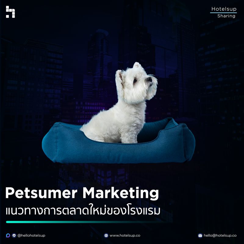 [Hotelsup] Petsumer Marketing แนวทางการตลาดใหม่ของโรงแรม ตลาดธุรกิจสัตว์เลี้ยง นับเป็นอุตสาหกรรม ...