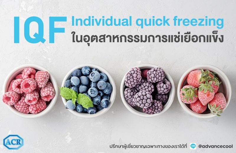 [Advance Cold Room] IQF (Individual Quick Freezing) กระบวนการแช่เยือก ...