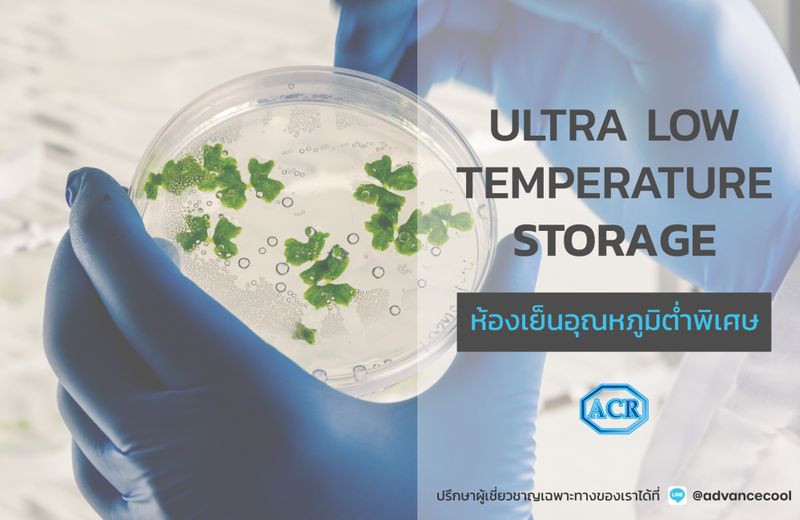 [Advance Cold Room] ULT Storage ห้องเย็นอุณหภูมิต่ำพิเศษ • อะไรคือห้อง ...