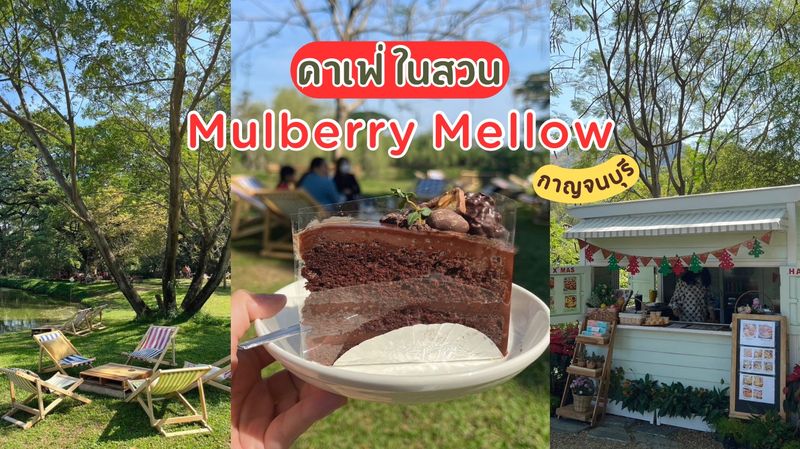 [One day trip] คาเฟ่ในสวน กาญจนบุรี Mulberry Mellow 🎄 วันหยุดนี้เราจะพา ...