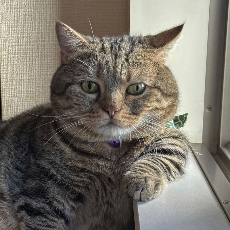 [atcha] ทุกวันนี้ เราคิดว่า คนนอก พวกสื่อ ดารา คนดัง อินฟลูเอนเซอร์ พวก ...