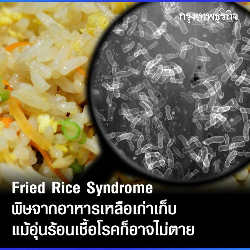 [กรุงเทพธุรกิจ] “Fried Rice Syndrome” พิษจากอาหารเหลือเก่าเก็บ แม้อุ่น ...