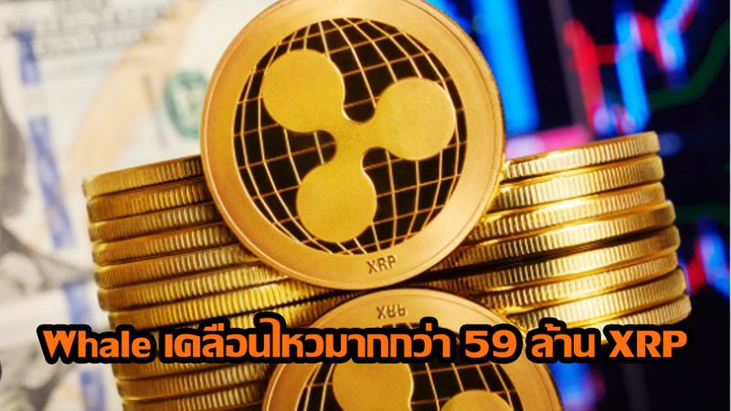 [SCOPE TV] เหรียญ XRP ยังร้อนแรงจับตาการเคลื่อนไหวมากกว่า 59 ล้าน XRP