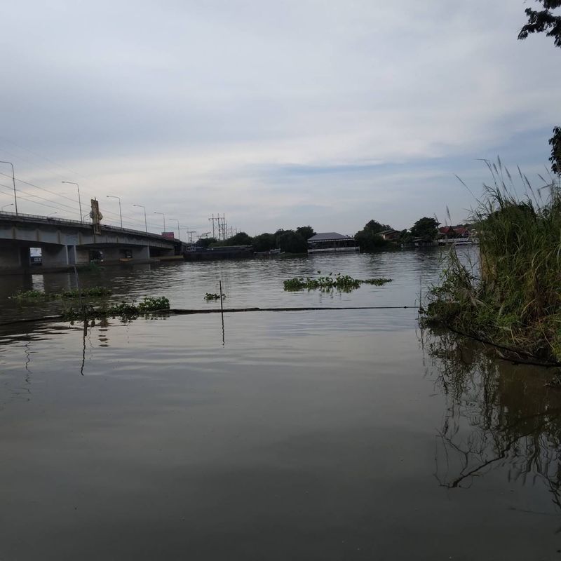 [Updatelongtun] Passiveincomeงานไม่ทำก็มีเงินใช้ ep.7 มาเขียนบทความเพื่ออะไร? ในอดีตที่ผ่านมาแอ ...