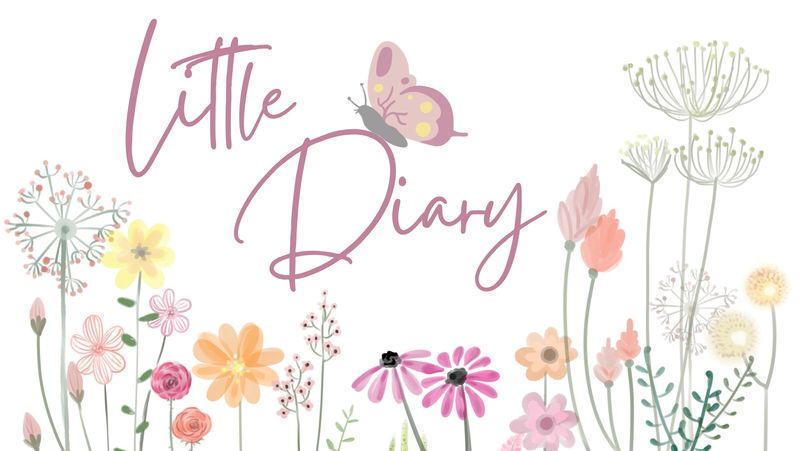 The Little Diary