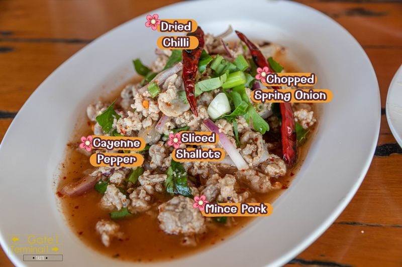 [🥕 EAT WHAT ? 🥕] Lab Moo (Spicy Minced Pork Salad) #foodphotography # ...