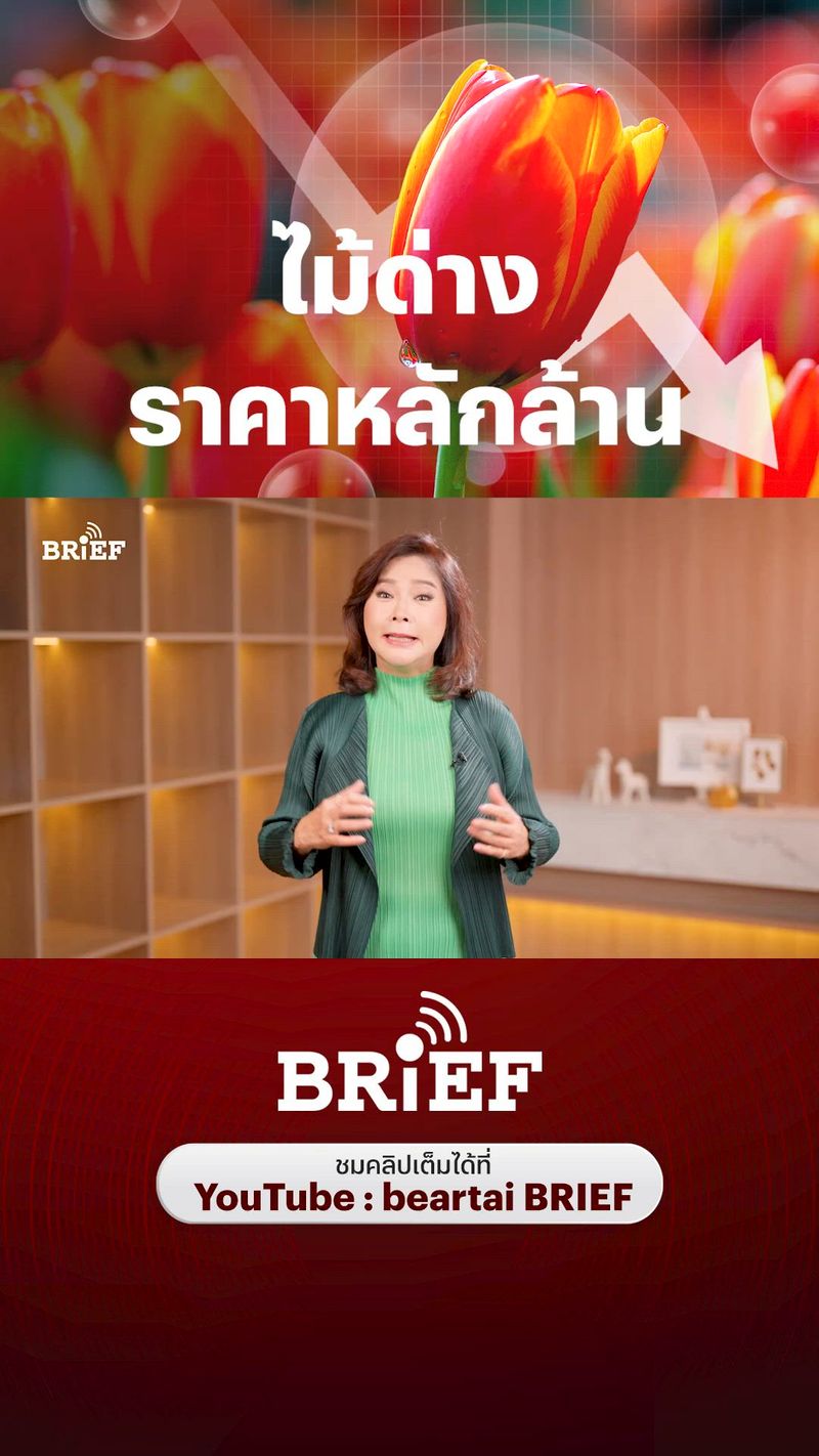 [beartai BRIEF] ไม้ด่าง ขายกันราคาหลักล้าน #ไม้ด่าง #ทิวลิป #beartaiBRIEF