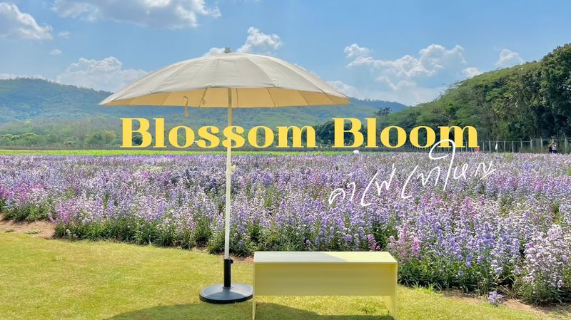 [One day trip] คาเฟ่สวนดอกไม้ต้อนรับหน้าหนาวที่เขาใหญ่ ที่ Blossom Bloom Cafe’ @Khaoyai หนาวนี้ ...