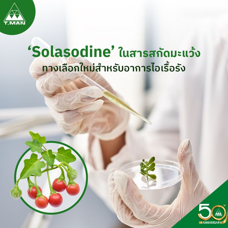 [T.MAN PHARMACEUTICAL] T.MAN พามารู้จักสาร ‘Solasodine’ ในสารสกัดมะแว้ง ...