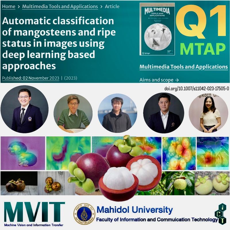 [MVIT Research LAB : Mahidol University] Ai กับราชินีผลไม้ไทย•มังคุด•เพื่อเพิ่มคุณภาพชีวิต ...