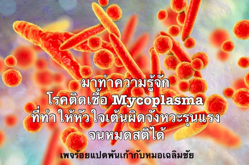 [ร้อยแปดพันเก้ากับหมอเฉลิมชัย] มาทำความรู้จักโรคติดเชื้อ Mycoplasma ที่ ...