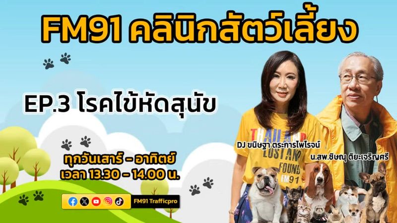 [FM91 Trafficpro] โรคไข้หัดสุนัข EP.3 : FM91 คลินิกสัตว์เลี้ยง สัมภาษณ์ นายสัตวแพทย์ชิษณุ ติยะ ...