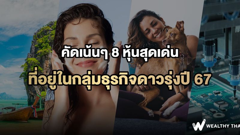 [Wealthy Thai] คัดเน้นๆ 8 หุ้นสุดเด่น ที่อยู่ในกลุ่มธุรกิจดาวรุ่งปี 67 กำลังจะจบปี 2566 กันแล้ว ...
