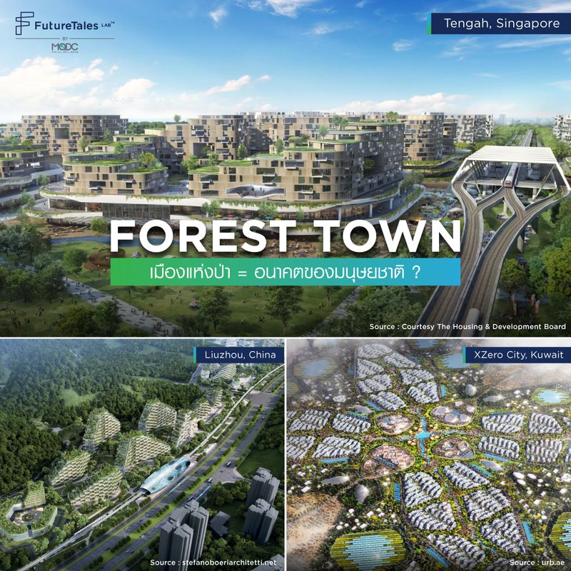 [FutureTales LAB by MQDC] FOREST TOWN: เมืองแห่งป่า [#ForestTown]: รับมือกับความท้าทายที่เกิดจาก ...