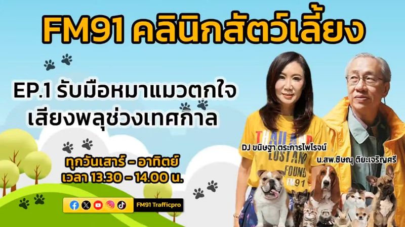 [FM91 Trafficpro] เตรียมรับมือหมาแมวตกใจเสียงพลุช่วงเทศกาล EP.1 : FM91 คลินิกสัตว์เลี้ยง ...