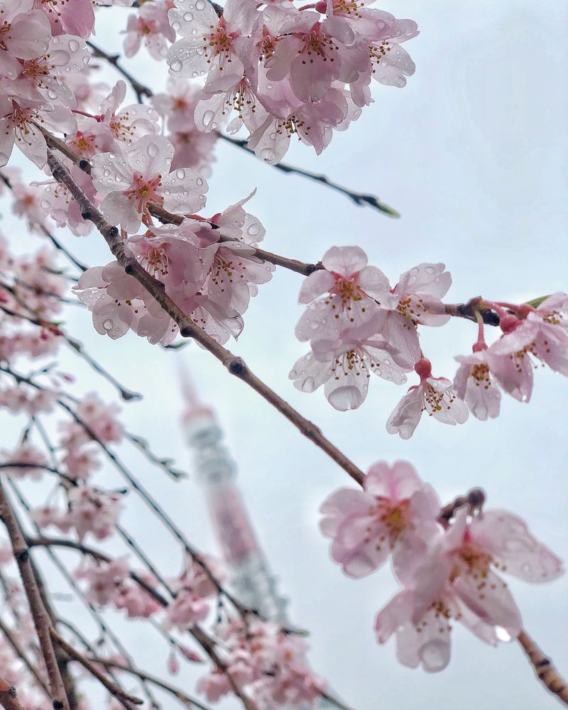 [minddeardiary] toxic ถ้า toxic เป็น คน สัตว์ สิ่งของ ก็คงจะโยนทิ้ง หรือ อย่าไปยุ่ง ได้ง่ายๆ