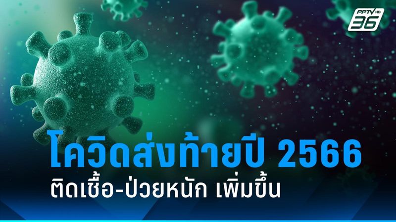 [PPTVHD36] โควิด-19 รอบสัปดาห์ เทศกาลคริสต์มาส-ปีใหม่ ติดเชื้อป่วยหนักเพิ่มขึ้น สถานการณ์โควิด ...
