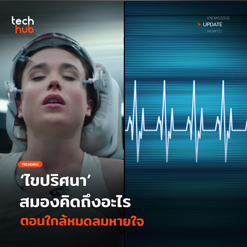 [Techhub] เมื่อวิทยาศาสตร์ เริ่มทำความเข้าใจ ได้มากขึ้น... คำถามที่ว่า "จะเกิดอะไรขึ้นเมื่อเรา ...