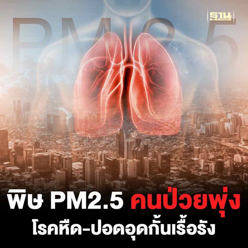 [ฐานเศรษฐกิจ_Thansettakij] คนไทยจมฝุ่น PM2.5 "โรคหืด-ปอดอุดกั้นเรื้อรัง" กำเริบกว่า 2 หมื่นคน ...