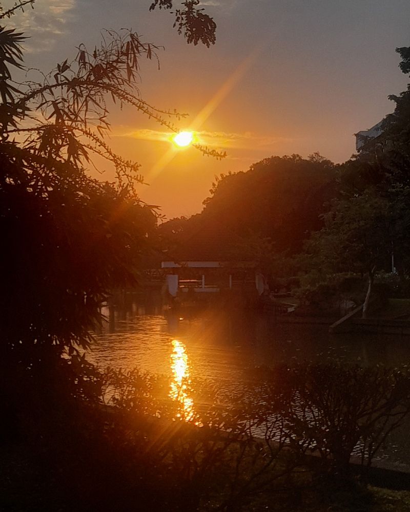 [Nature] Charifkub Story